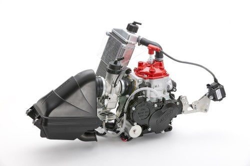 Rotax 125 JUNIOR MAX EVO Engine Kit – Karting Central