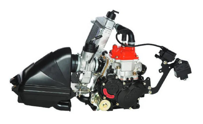 Rotax 125 MINI MAX EVO Engine Kit – Karting Central
