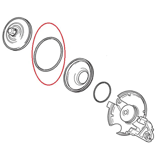 Rotax Power Valve Hose Spring – Karting Central